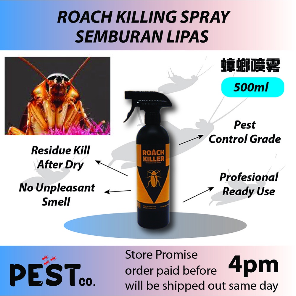 Ubat Lipas Berkesan 500ml / Cockroach Killing Spray 500ml / Penyembur ...