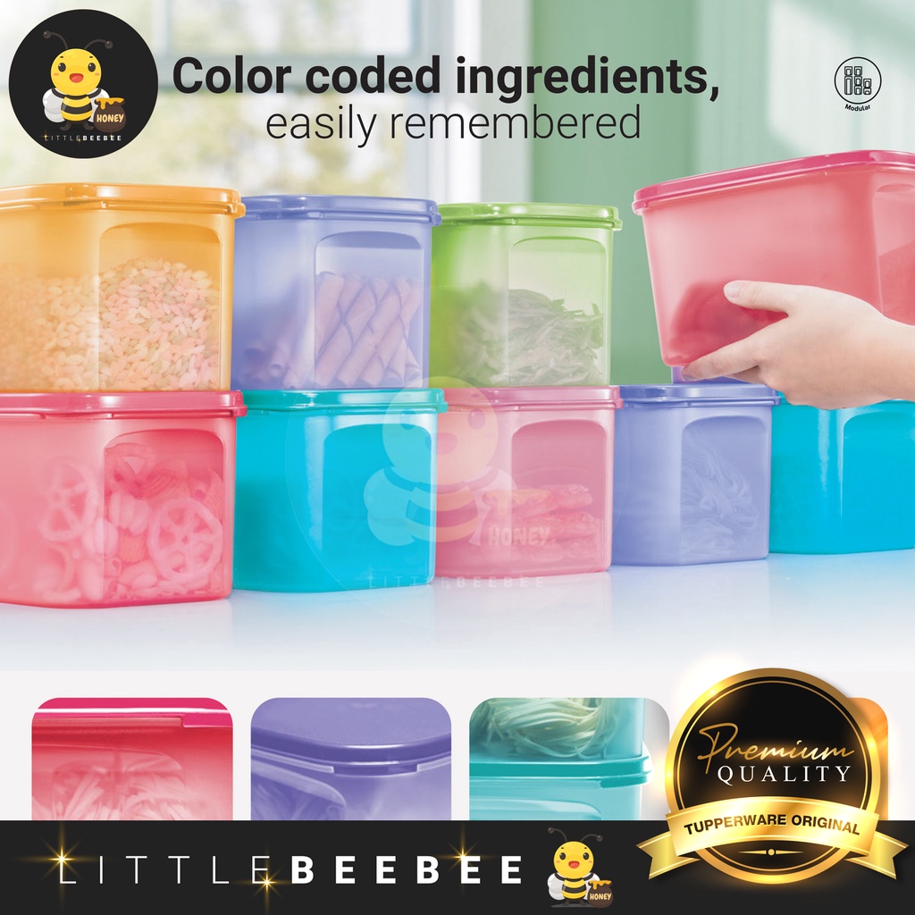 Tupperware Modular Mates Mini Rectangular II (2 units) / Food Storage ...