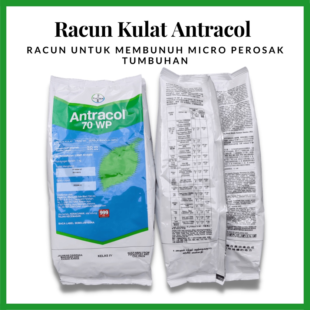 1 KG Racun Kulat Antracol 70WP | Fungicide Jenama Bayer (Vegetable and ...