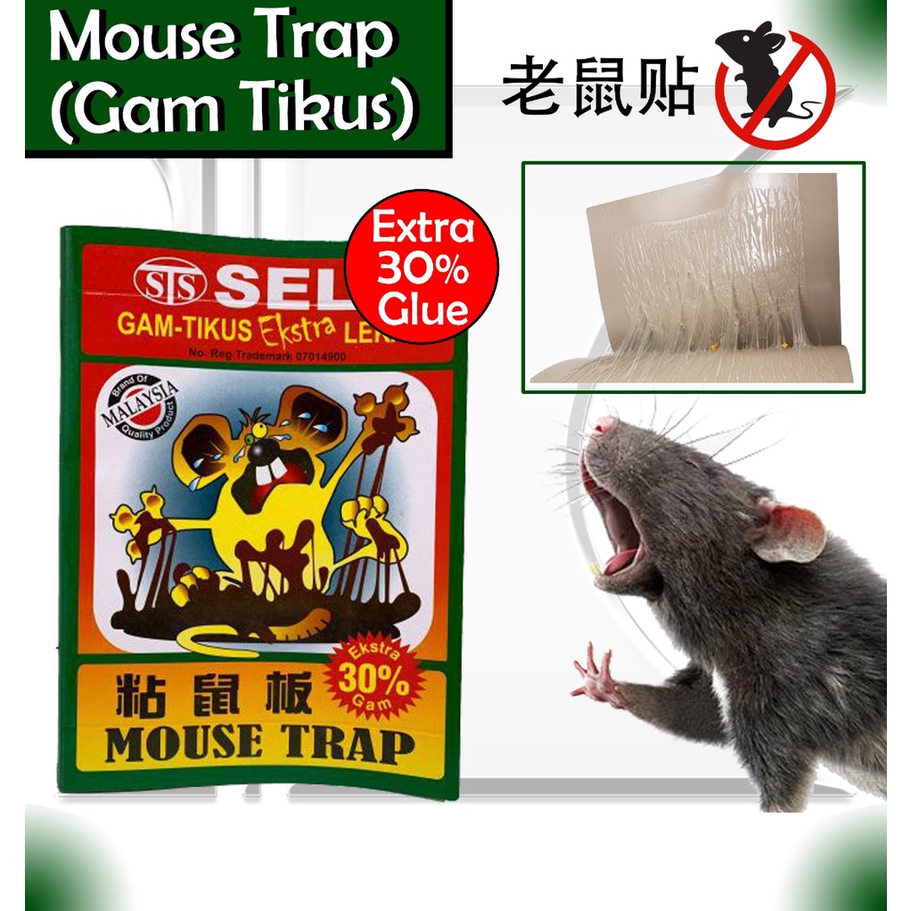 STS Mouse Trap Extra 30% Glue Rat Glue Trap / Mouse Board / Buku Tikus ...