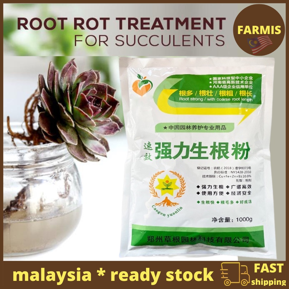 1KG Baja Pengalak Akar Serbuk Akar Kuat 生根粉 Strong Root Powder 强力生根粉 ...