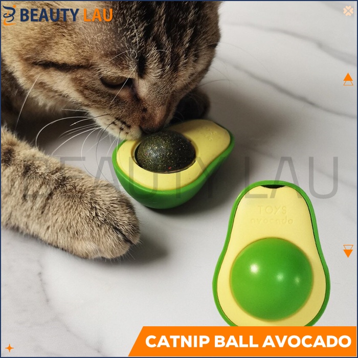 Catnip BALL AVOCADO CAT AVOCADO CATMINT BALL CATNIP BALL ROTATING STICK MAENAN UNIQUE CAT TOY ...