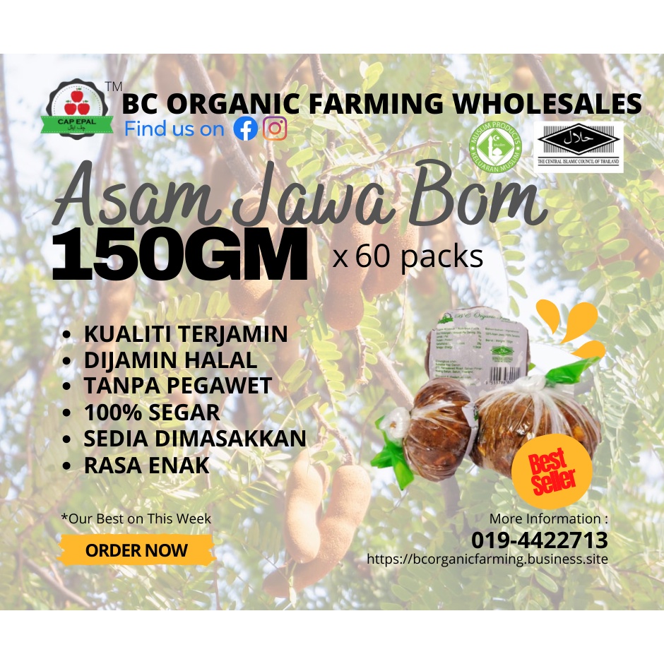 Asam jawa ada biji mini pack 150gx60 biji | Shopee Malaysia