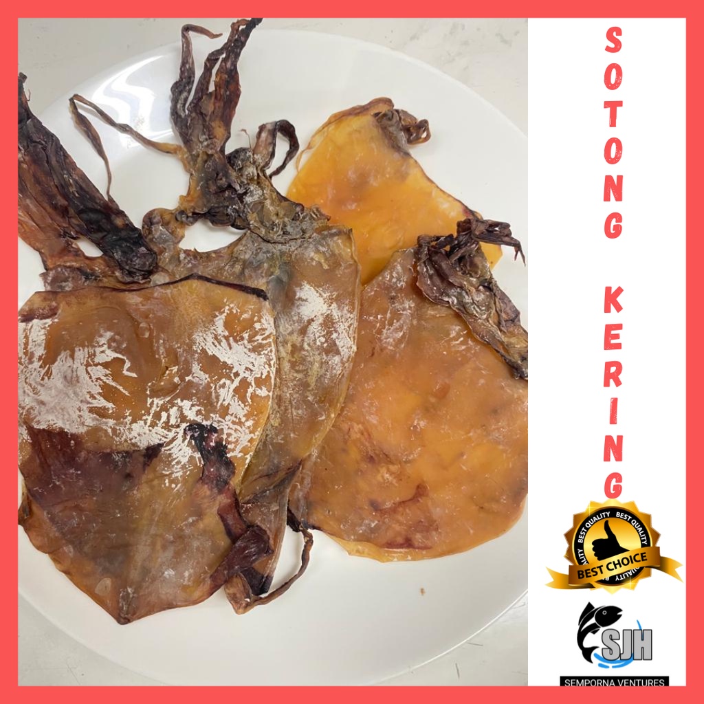 Sotong Kering / Sotong belah / Dried Squid Lembut 100G 250G | Shopee ...