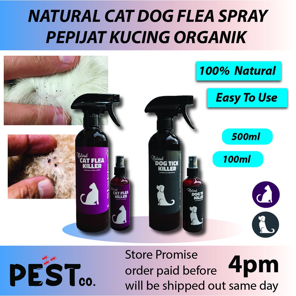 500ML UBAT KUTU KUCING DAN ANJING SPRAY / Natural Cat Flea Dog Tick ...