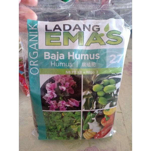 Baja sayur sayuran yang segar | Shopee Malaysia