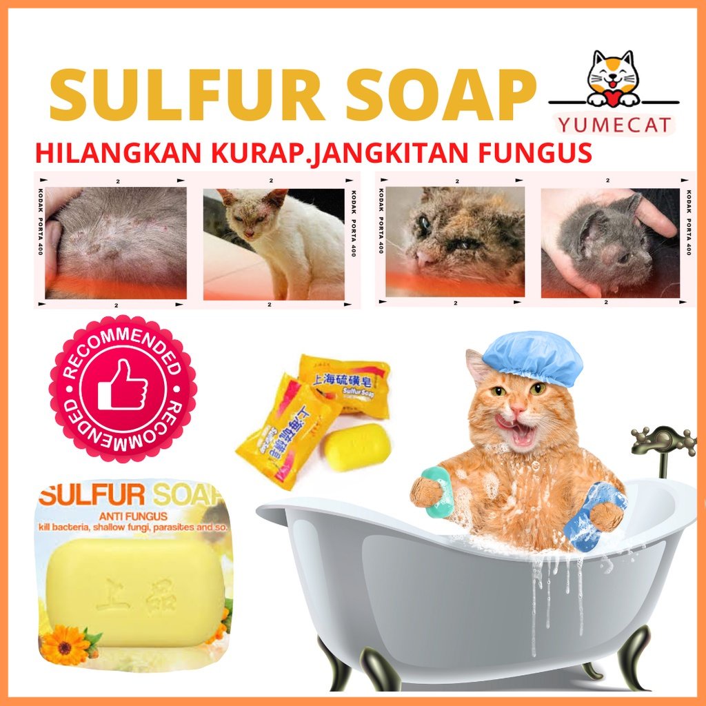 ️YUMECAT Sabun Kurap & Kutu Hot stuff️ Sulfur Shanghai Sulphur Soap For ...