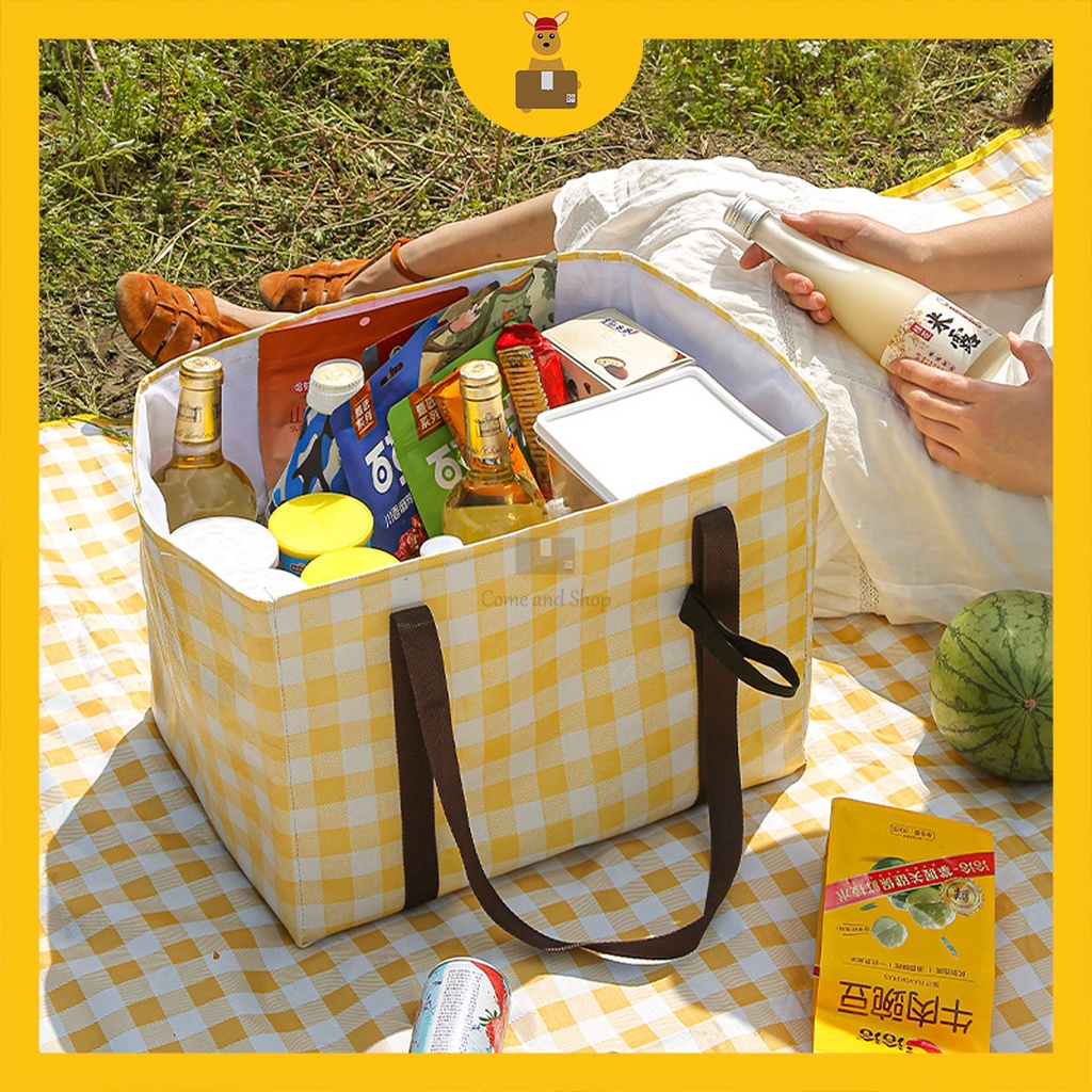 Insulated Portable Picnic Bag Aluminum Foil Outdoor Foldable Camping ...