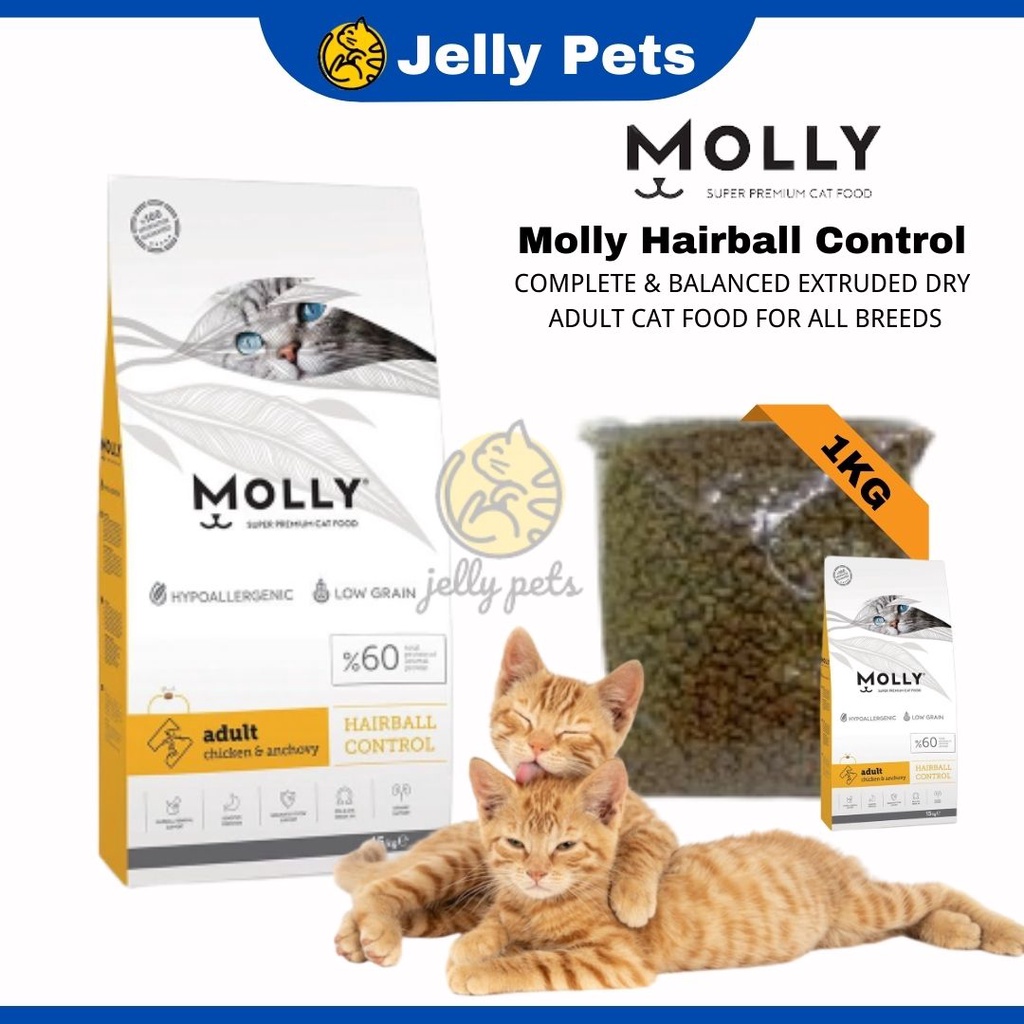 MOLLY Super Premium Cat Dry Food (1KG) Adult Chicken/ Makanan kucing/猫粮 ...