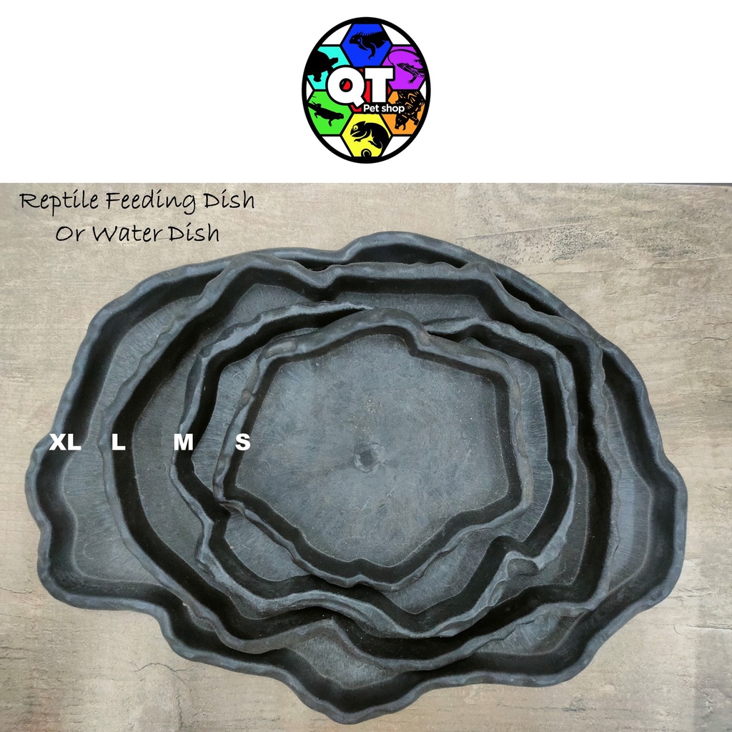 QT ABS Reptile Feeding Dish/Water Dish/Tortoise/Lizard/Skink/Gecko/Frog ...