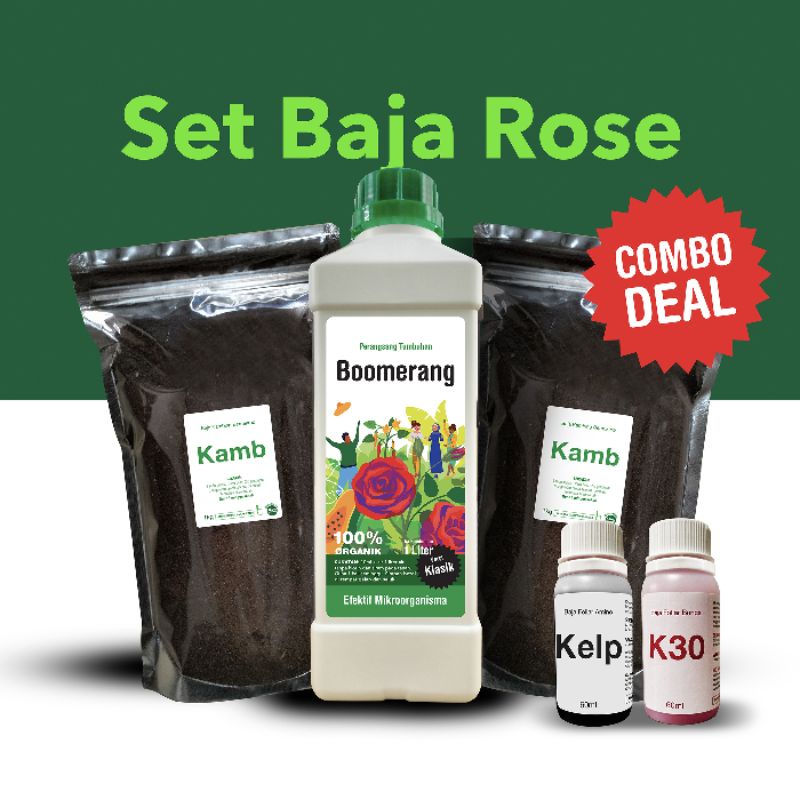 Set Baja Rose Basic 1L Boomerang dengan Foliar | Shopee Malaysia