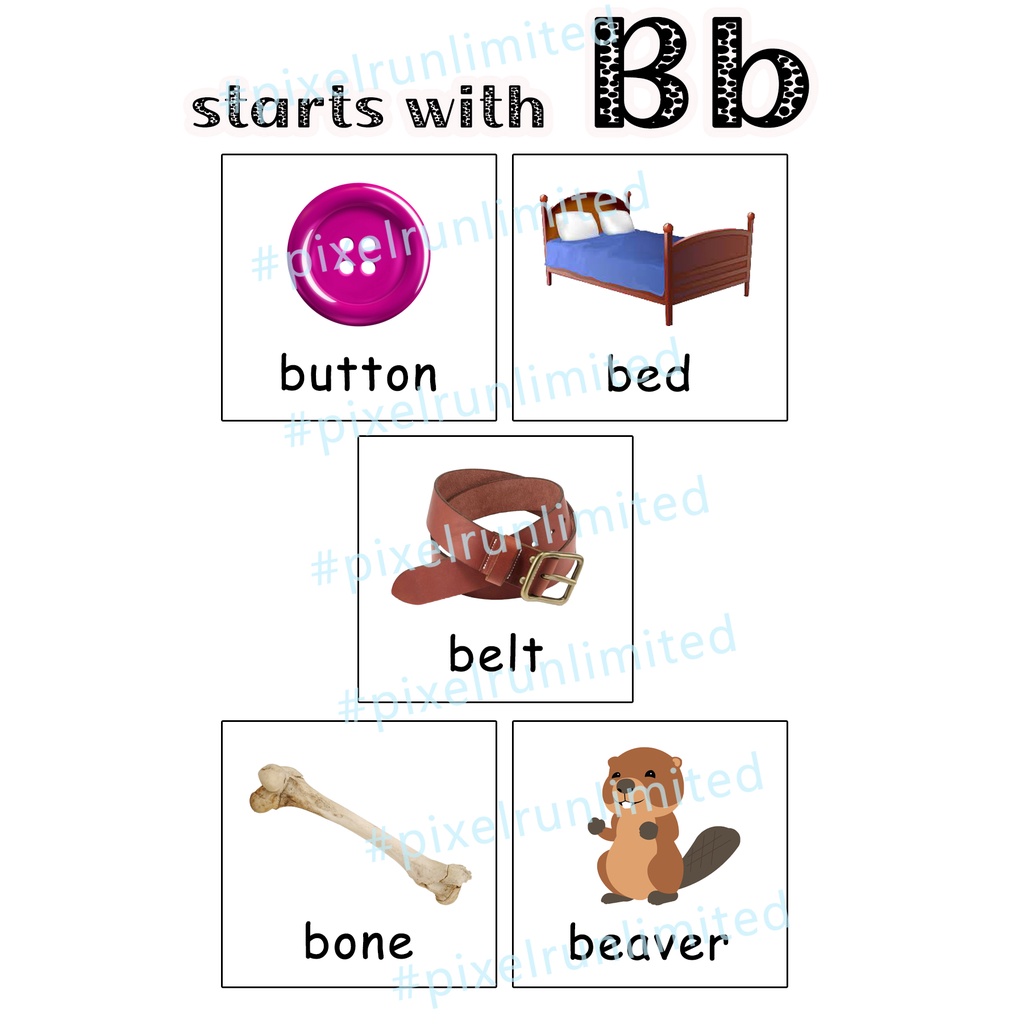 Words start with the letter B | Flashcards & Stickers | Shopee Malaysia