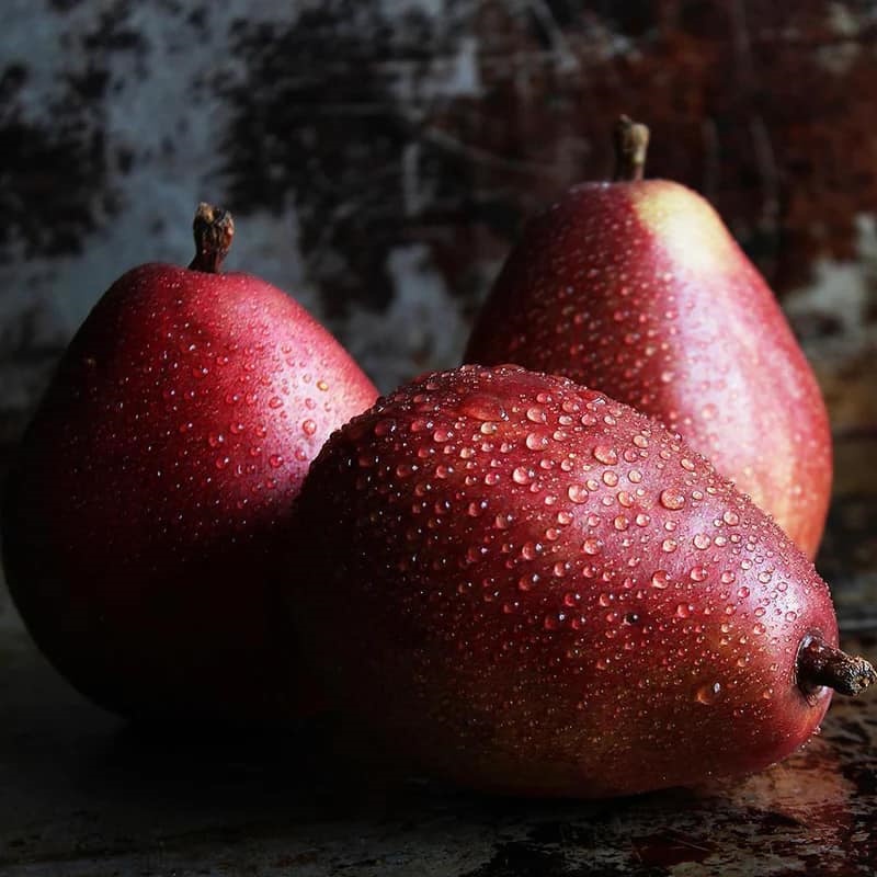 Anak Pokok Pear Red Anjou | Shopee Malaysia