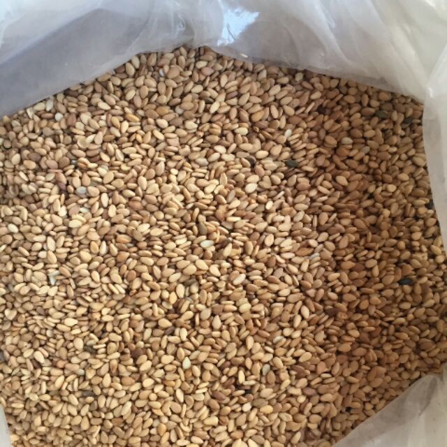 [HCM] 1kg Yellow Sesame (Yellow Sesame) Clean, Natural, No ...