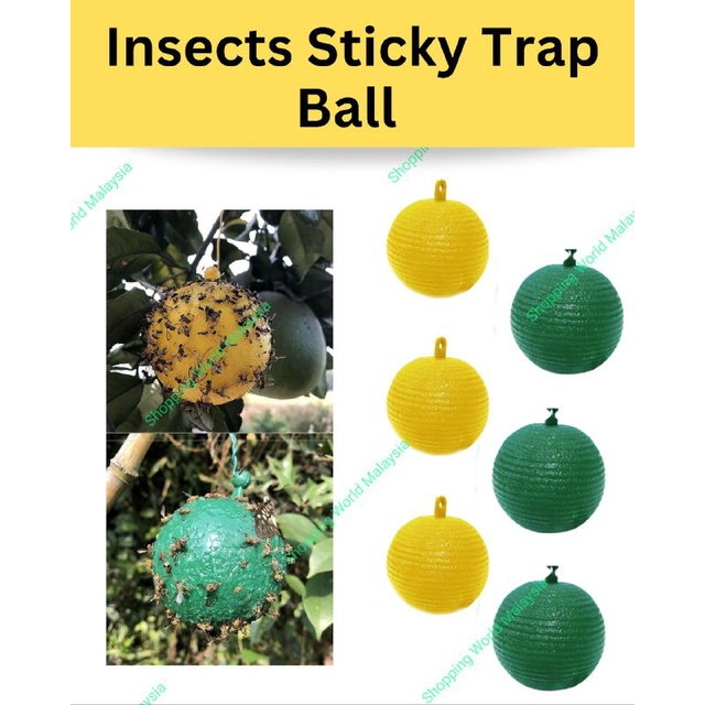 77mm Sticky Trap Ball Fruit Fly White Flies Trap Stinking Bug / Bola ...