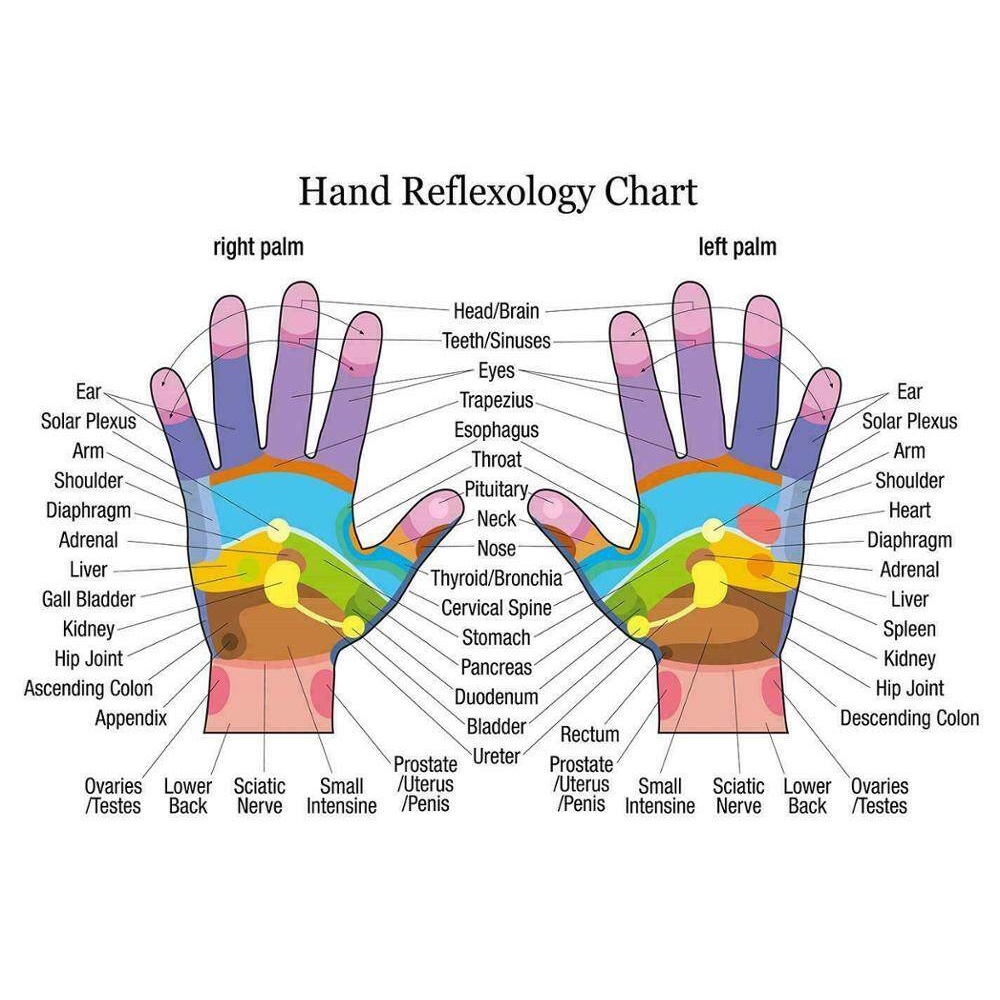 More Style Reflexology Labeled Chart Holistic Health Large Colour Art ...