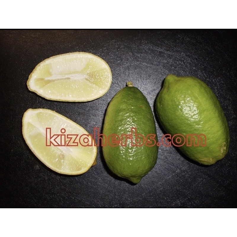 Limau Telur Buaya(3biji) | Shopee Malaysia