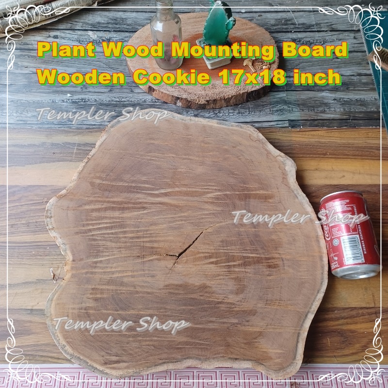 Plant Wood Mounting Board Log Cookie Natural Solid Wooden Block Mount ...