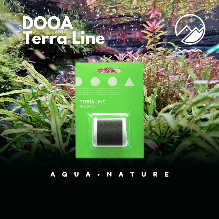 DOOA Terra Line (Aquarium/Aquascape/Planted Tank/Paludarium/Terrarium ...