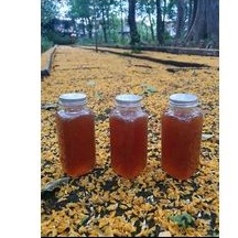 Main Honey, Bee Klanceng, Kelulut, Trigona | Shopee Malaysia