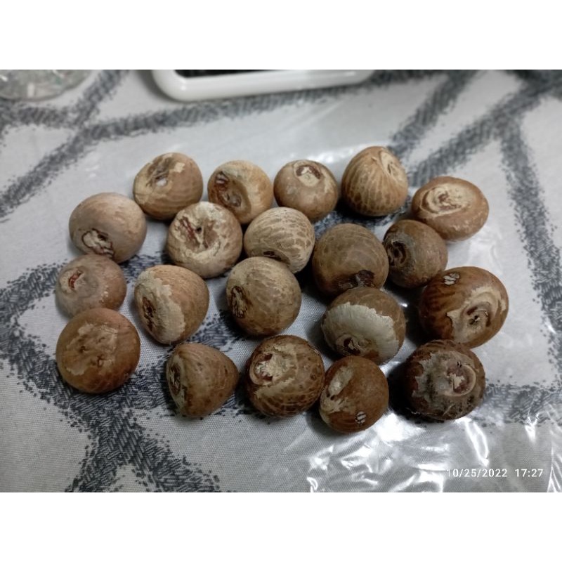 Buah Pinang Kering 10 biji siap kopek kulit | Shopee Malaysia