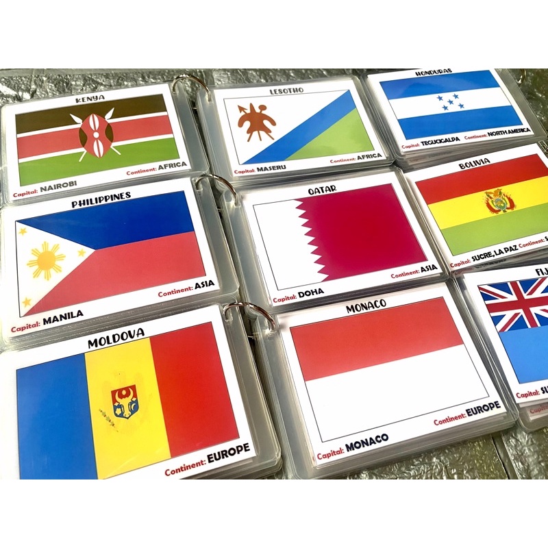 WORLD FLAGS COMPLETE Flashcards ~Laminated (ASIA, AFRICA, EUROPE, NORTH ...