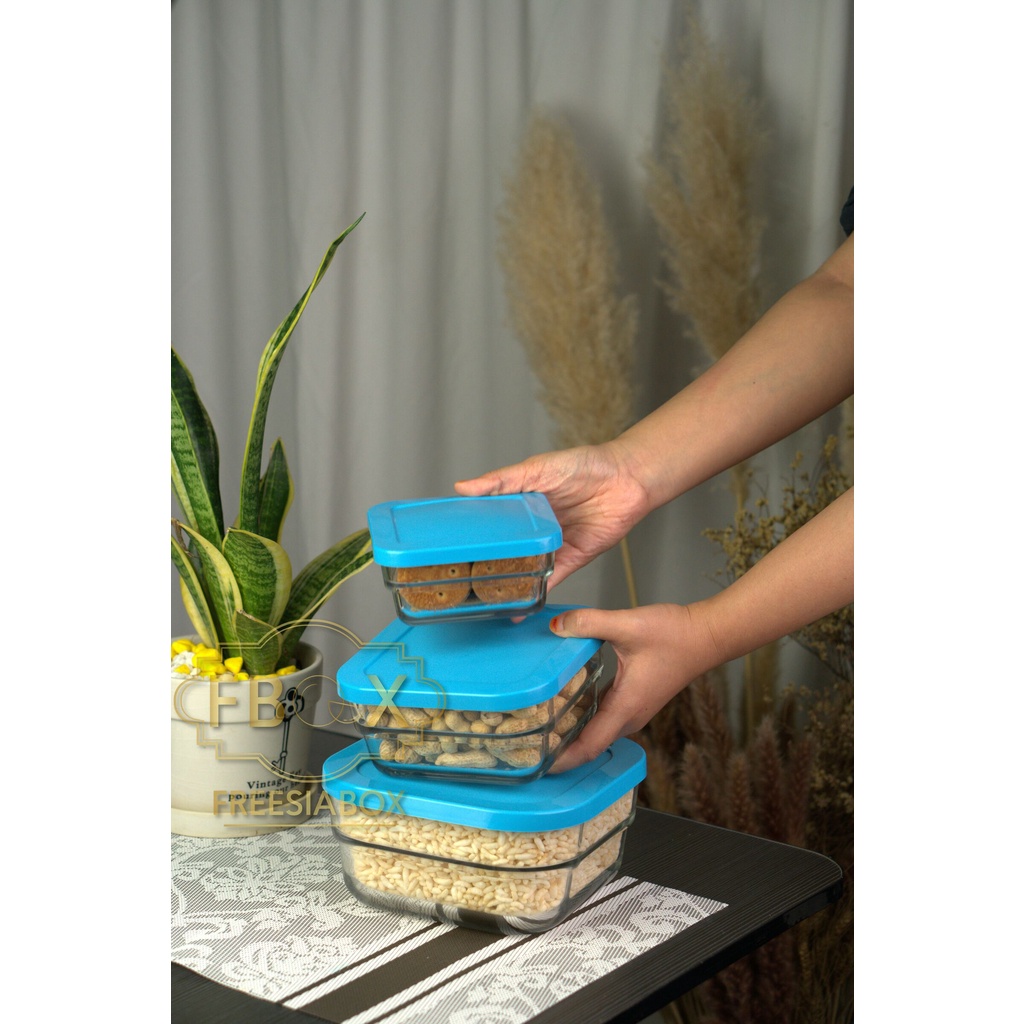 (READY STOCK) COMBO Blue Lid Square Dish Container Set (G) | Shopee ...