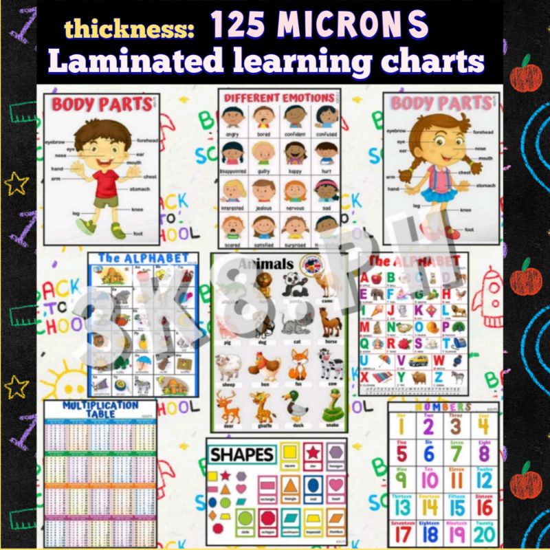 125 Microns QUALITY LAMINATED EDUCATIONAL WALL CHART | LAMINATED ...