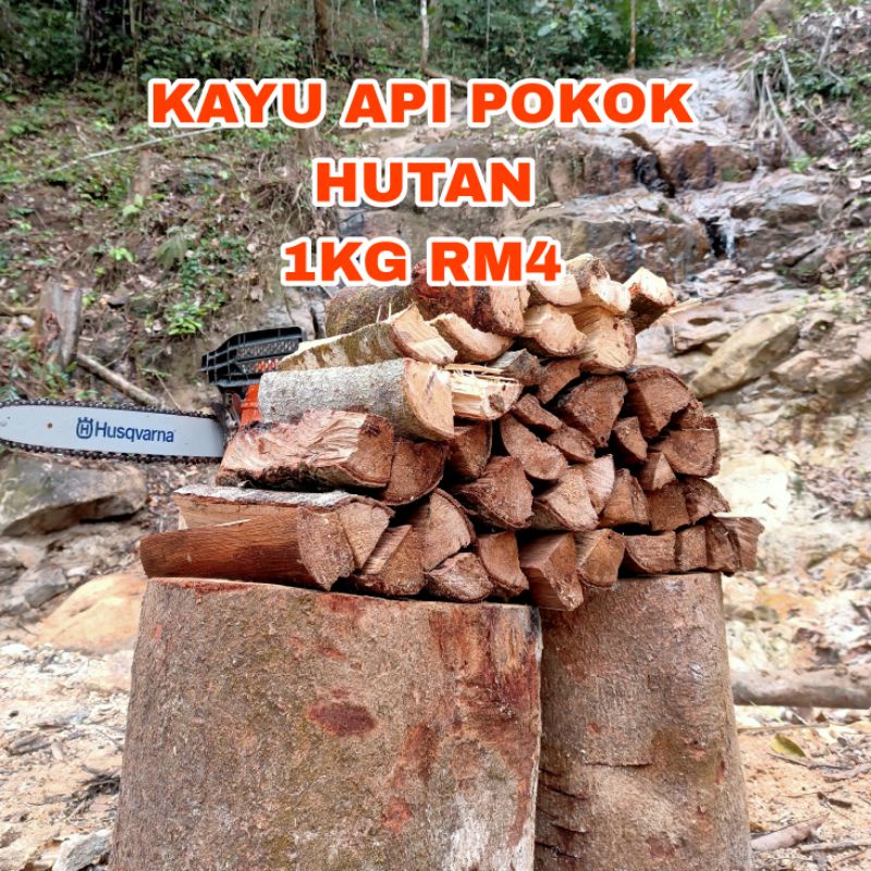 Kayu Api Bakar BBQ Camping Pokok Hutan Arang Grills Smoke Salai ...