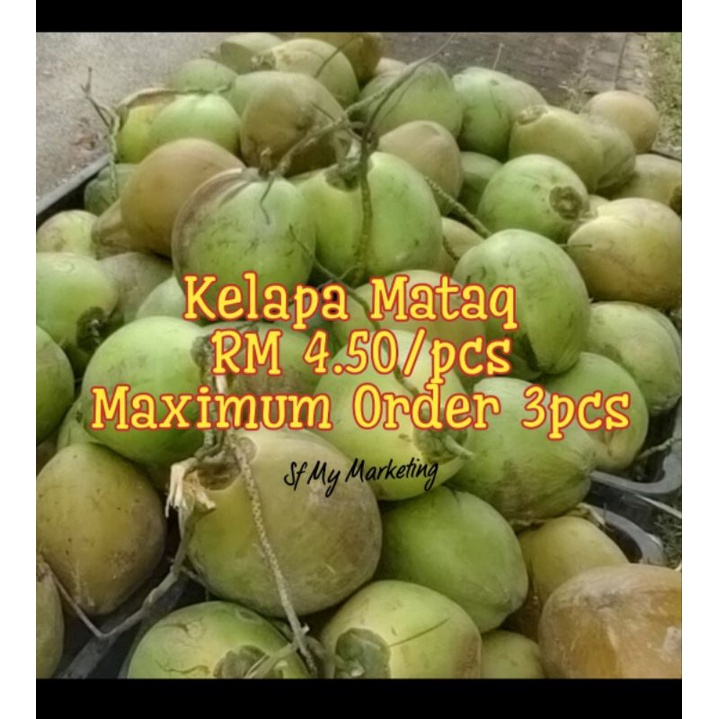 🔥Kelapa Matag🔥Coconut Water🔥Tender Coconut Water🔥 | Shopee Malaysia