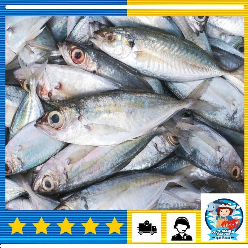 Local Wild Catch Kembong Fish (Gilled & Scaled) / 本地甘望鱼 1kg/pk) Ikan ...