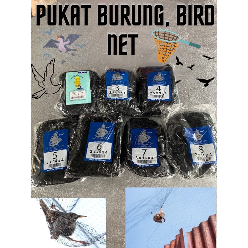 Pukat Burung/Bird’s Net/Pukat Tahan Burung atau Tangkap Burung Thailand ...