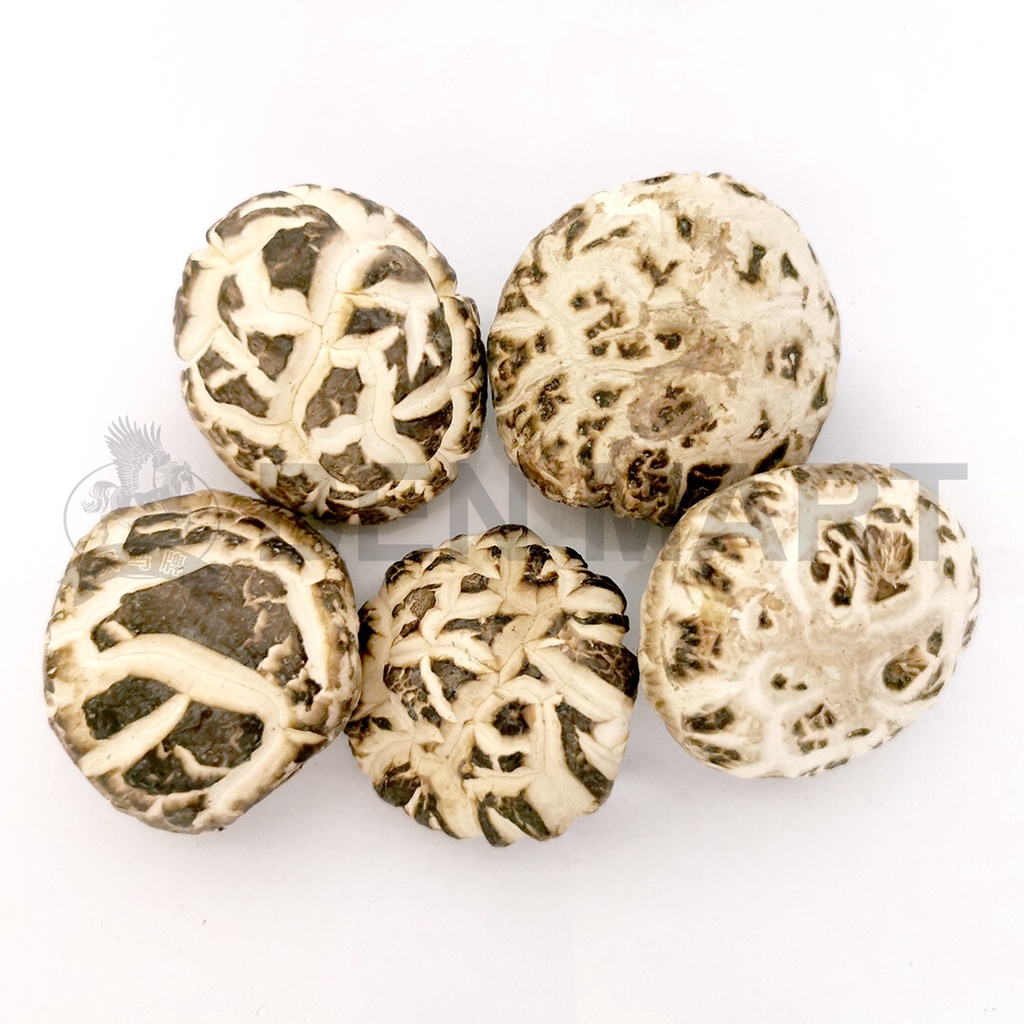 TM MUSHROOM DRIED BAI HUA (AAA1+) 4CM-5CM 天白花菇 | Shopee Malaysia