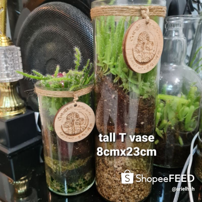 Terrarium glass vase jar Indoor Garden decoration Transparent Balang ...