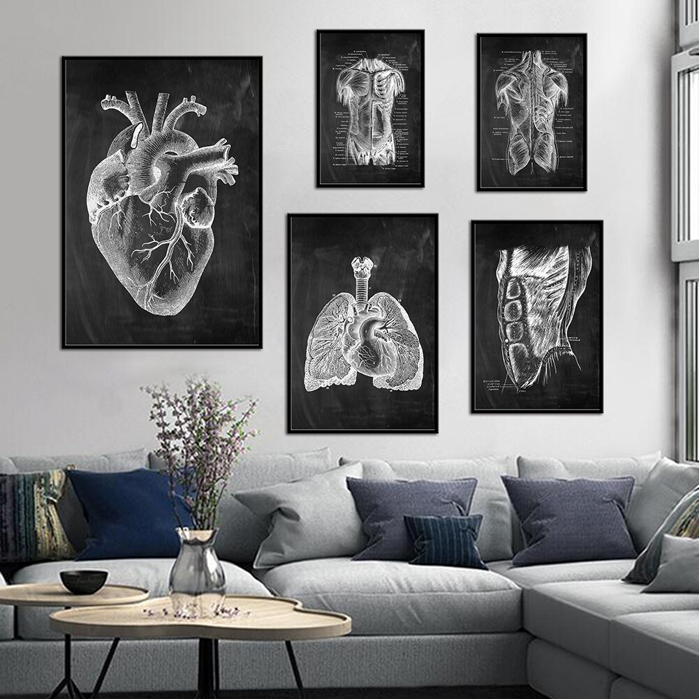 POSSBAY Anatomical Poster Medical Skeleton Organ Muscular System Canvas ...