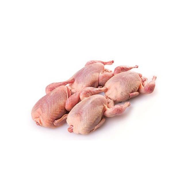 Frozen Daging Burung Puyuh AA | Shopee Malaysia
