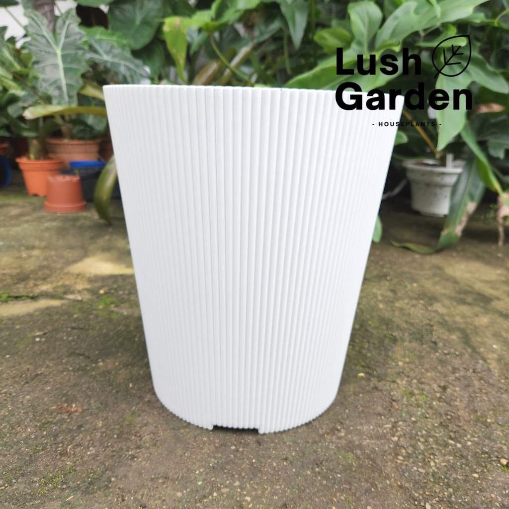 Felton FBL2765 260mm Plastic Flower Round Pot White / Pasu Bunga ...