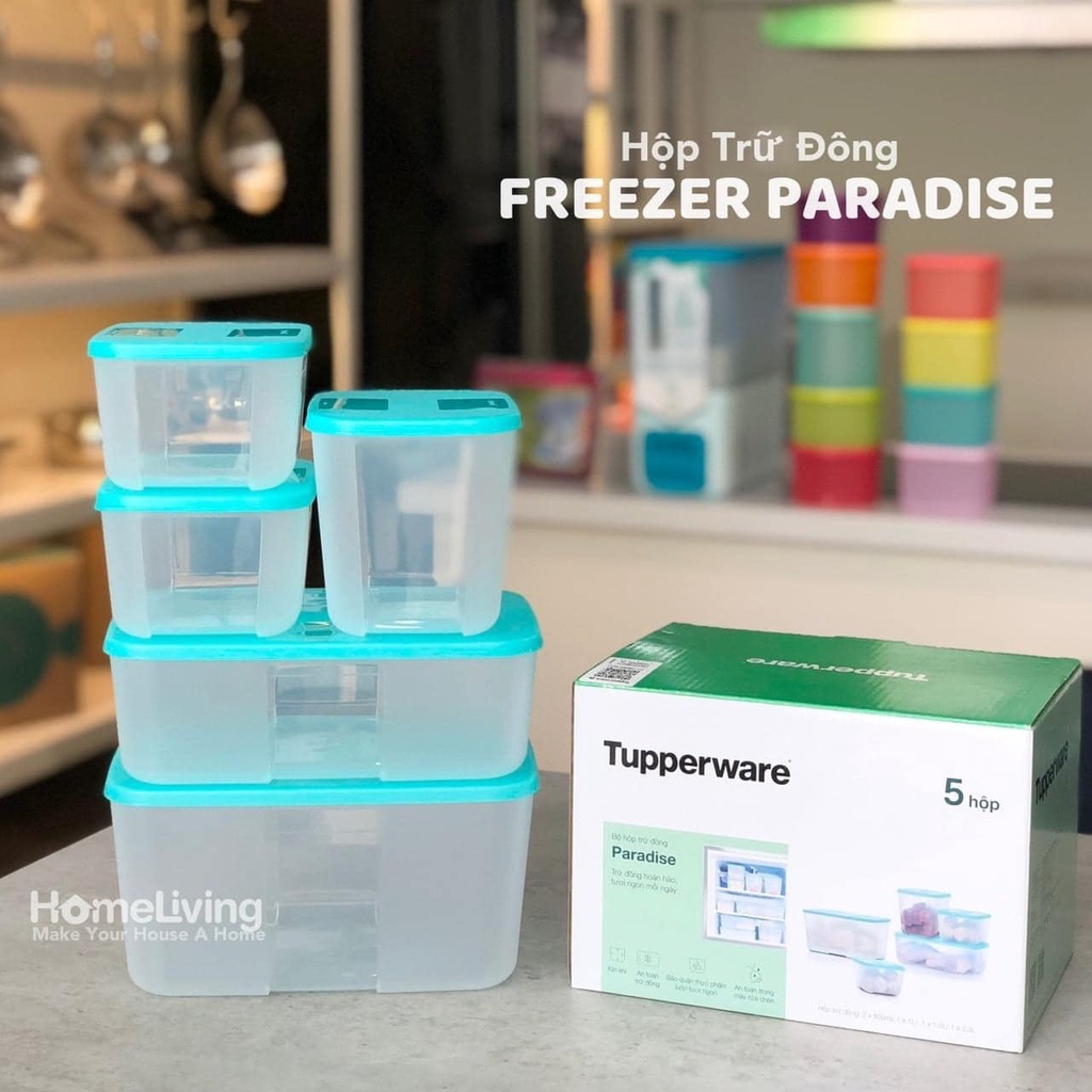 Original Turquoise Plastic Freezer Box Set (5 Boxes) | Shopee Malaysia