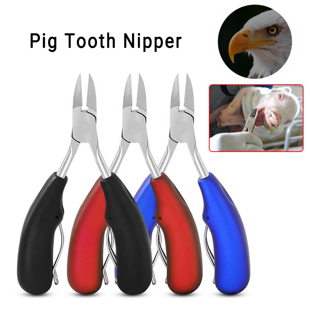 Black/Blue/Red Olecranon shaped Pig Tooth Nipper Stainless Steel Piglet ...