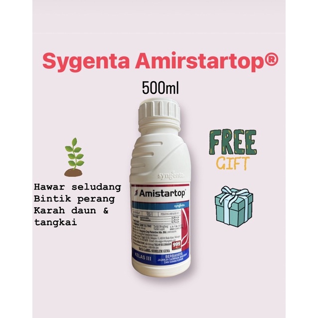 Sygenta Amistartop azoxystrobin difenoconazole Racun Kulat Fungicide ...
