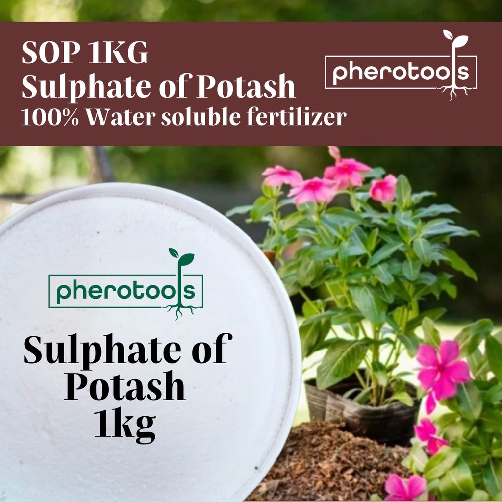Pherotools (SOP 1KG) Potassium Sulfate Fertilizer/ Sulphate of Potash K2SO4 100% Water Soluble ...