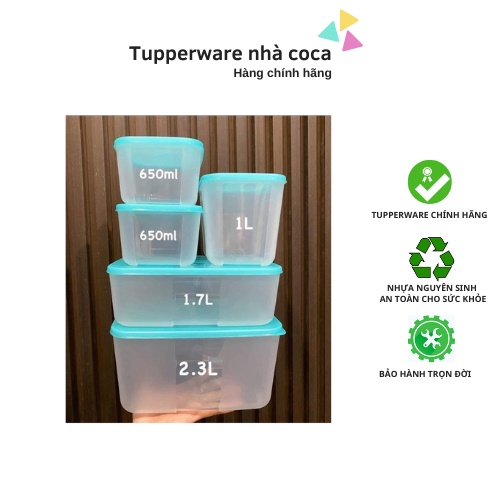 Paradise freezer set 5 genuine Tupper boxes | Shopee Malaysia