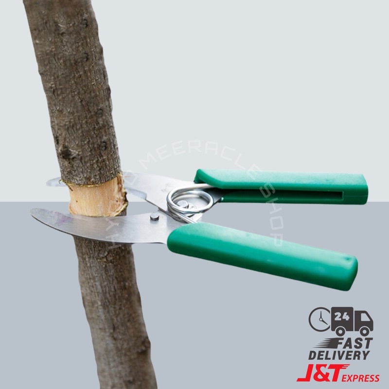 Cutter For Plant Air Layering Shear Prunning Trimming Scissors | Shopee ...