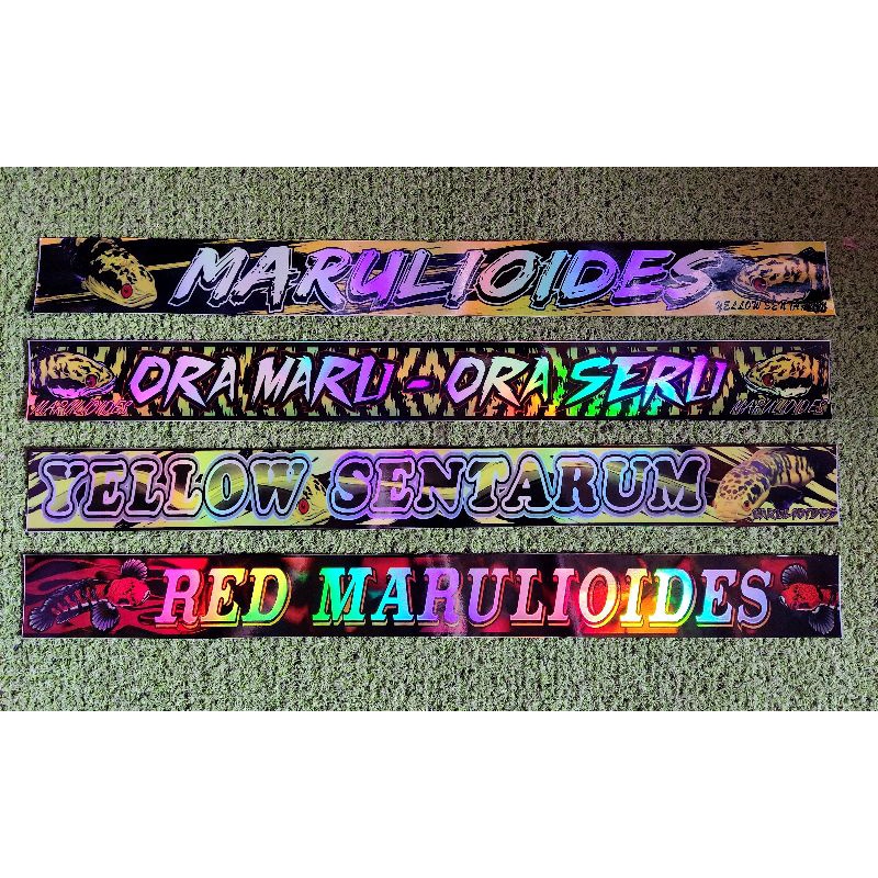 Channa MARULIODES FISH HOLOGRAM STICKER | Shopee Malaysia