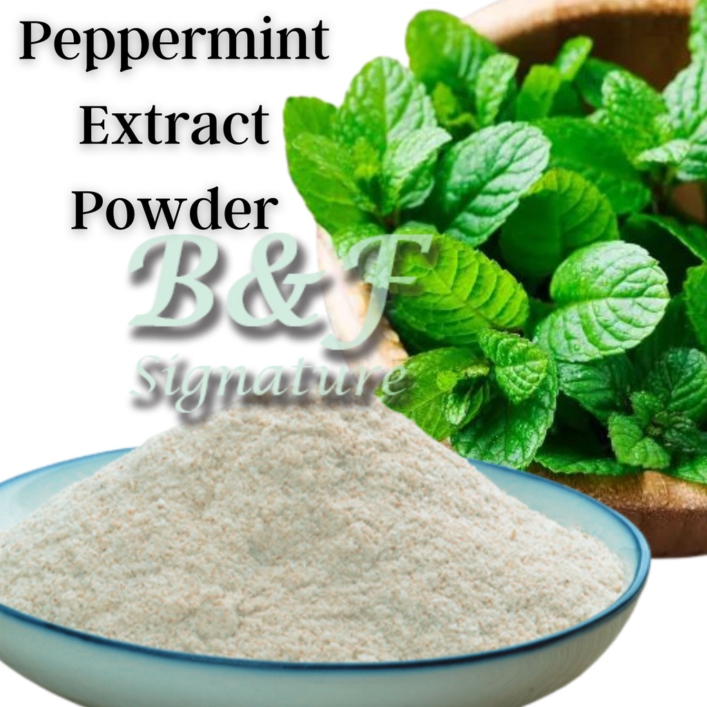 Mint Extract Powder 500g Serbuk Pudina - 冰凉 薄荷粉 Cooling Menthol Mint ...