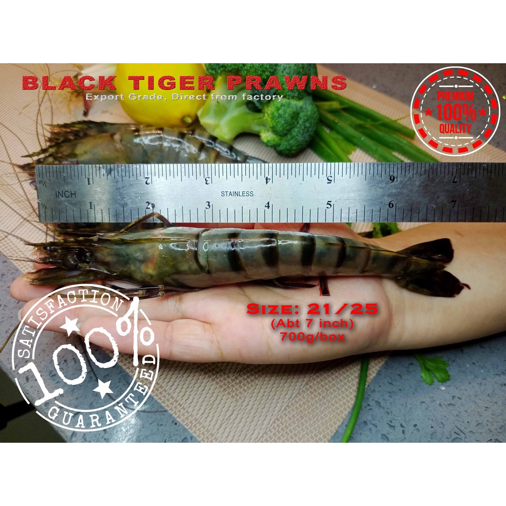 Black Tiger Prawns 16/20 Raw Frozen [Export Quality] | Shopee Malaysia