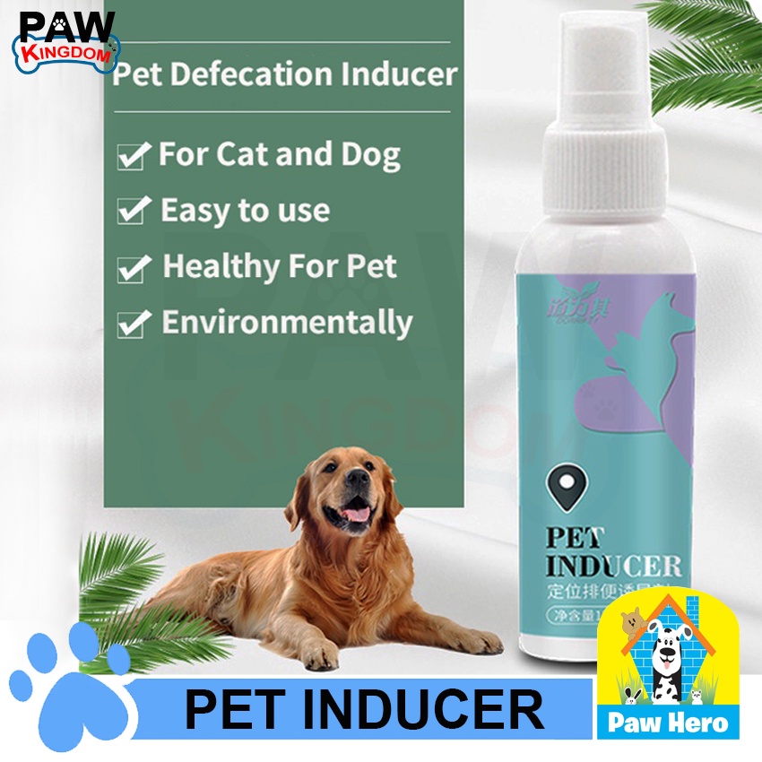 Dorrikey Pet Inducer 120ml Dog Pee Inducer Guided Toilet Potty Training ...