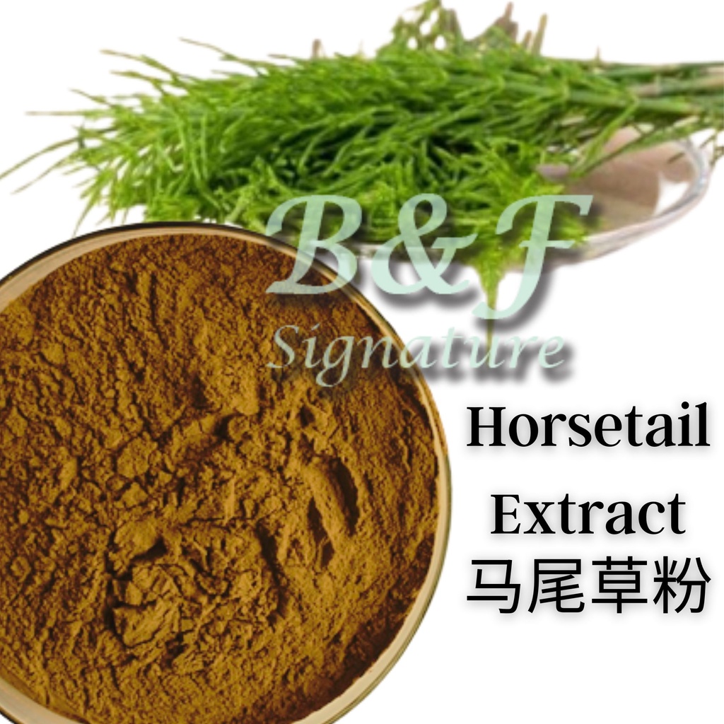 Horsetail Powder Extract 30g - 250g Horsetail Powder | 马尾草粉 Food Grade ...