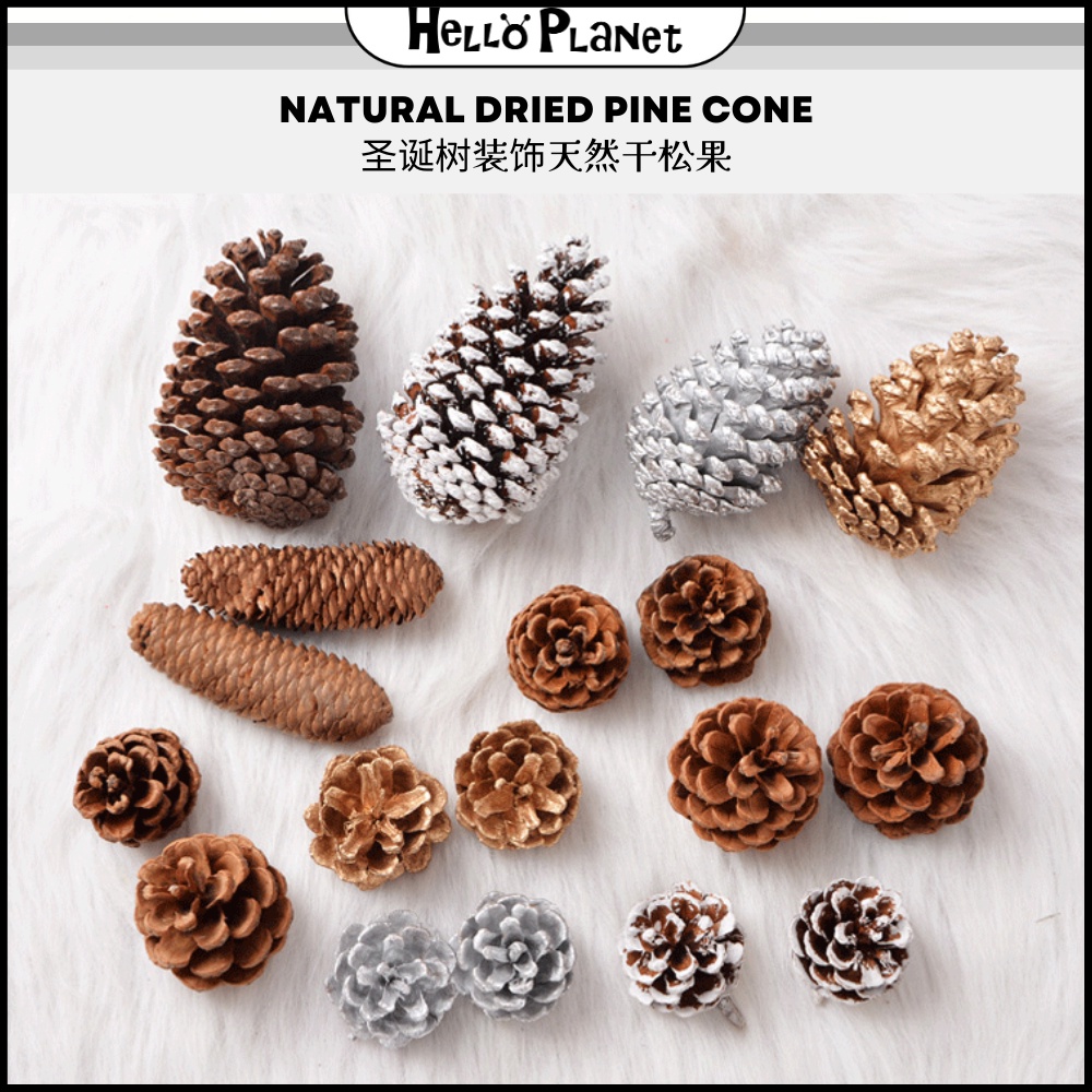 Christmas Tree Decoration Natural Dried Pine Cone | 圣诞树装饰天然干松果 | Kon ...
