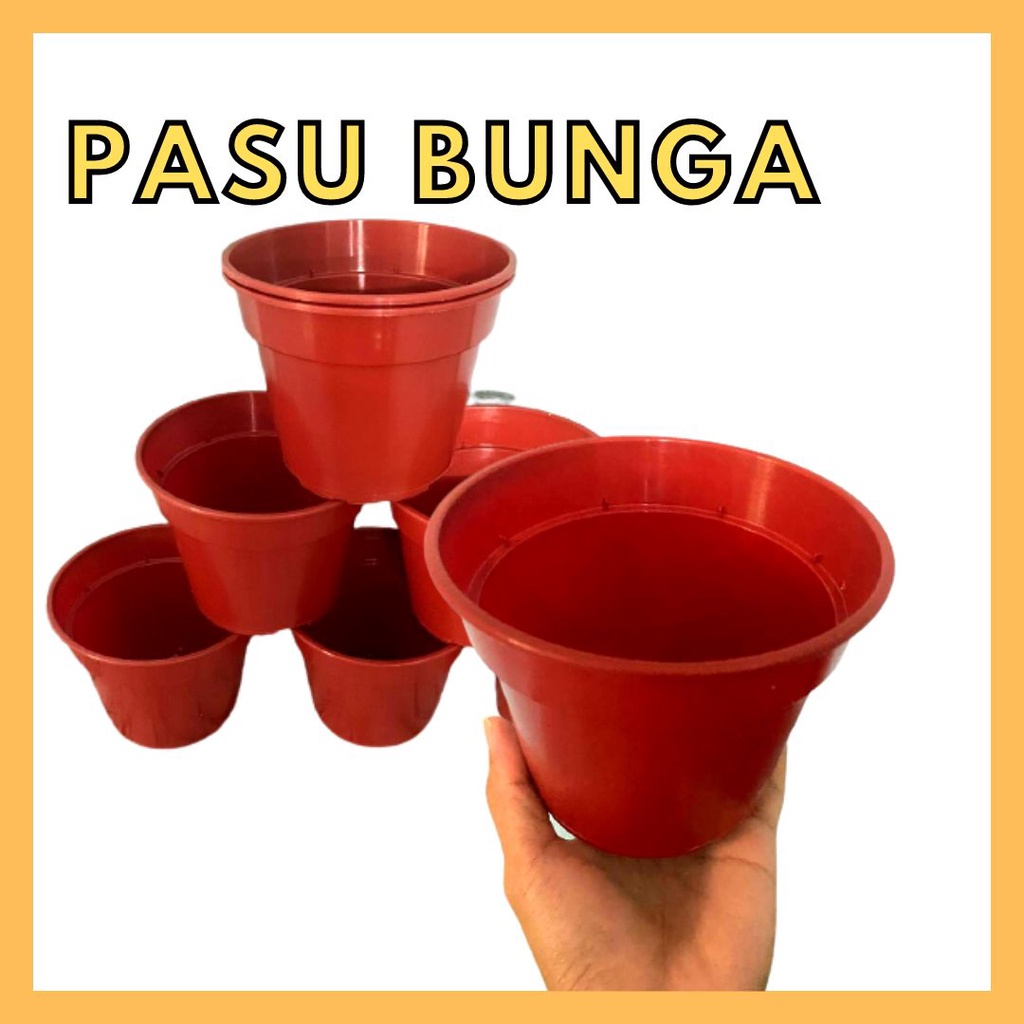 Pasu Bunga Flower Pot Plastic Kecil Strawberry Pot Tanaman Murah ...